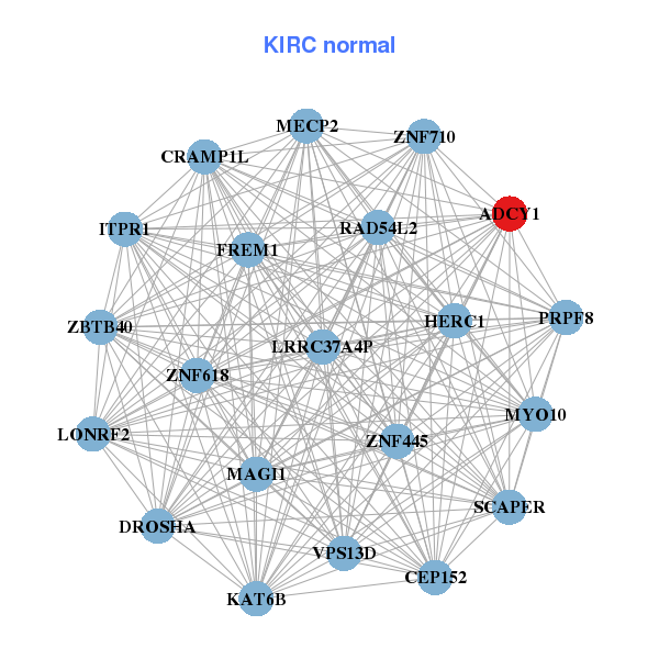 Cancer Cell Metabolism Database ~~ Bioinformatics and Systems Medicine ...