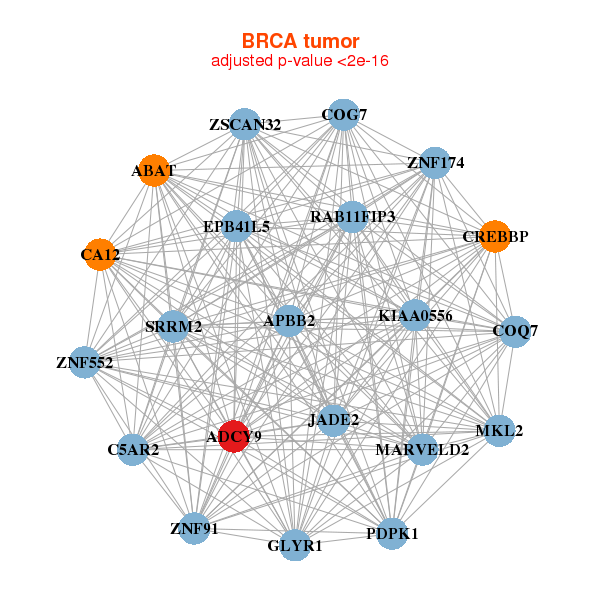Cancer Cell Metabolism Database ~~ Bioinformatics and Systems Medicine ...
