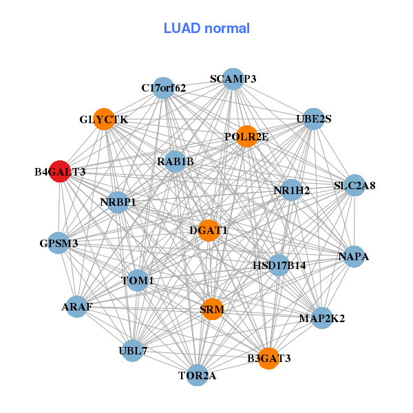 Cancer Cell Metabolism Database ~~ Bioinformatics and Systems Medicine ...