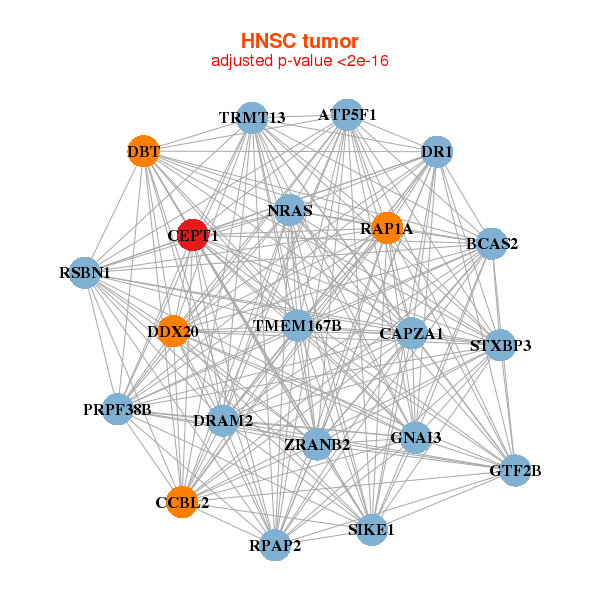 Cancer Cell Metabolism Database ~~ Bioinformatics and Systems Medicine ...