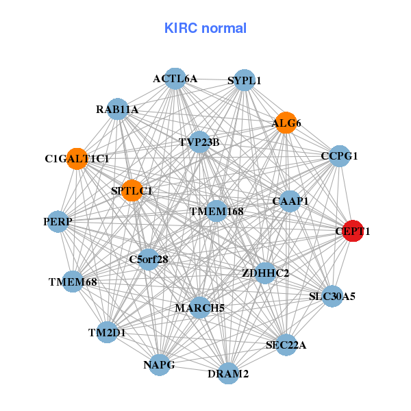 Cancer Cell Metabolism Database ~~ Bioinformatics and Systems Medicine ...