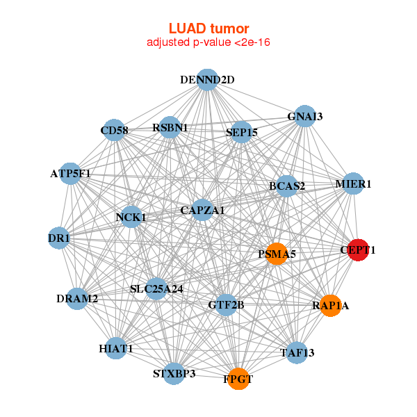 Cancer Cell Metabolism Database ~~ Bioinformatics and Systems Medicine ...