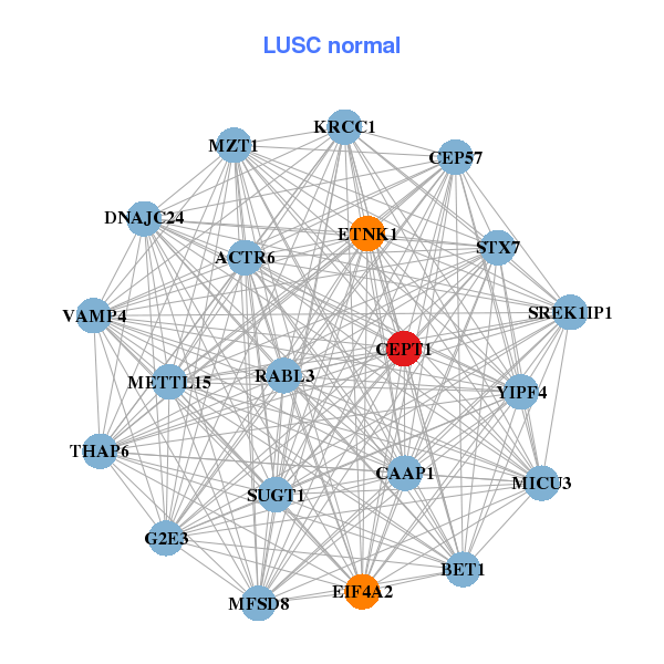 Cancer Cell Metabolism Database ~~ Bioinformatics and Systems Medicine ...