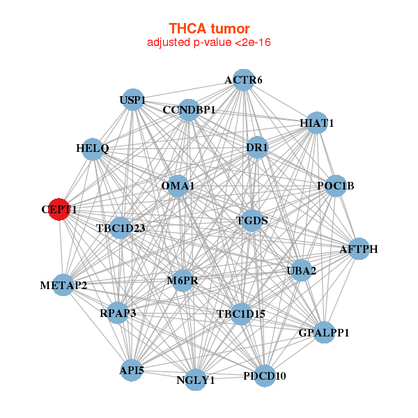 Cancer Cell Metabolism Database ~~ Bioinformatics and Systems Medicine ...