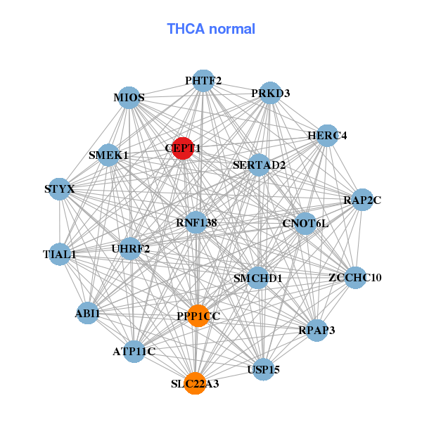 Cancer Cell Metabolism Database ~~ Bioinformatics and Systems Medicine ...