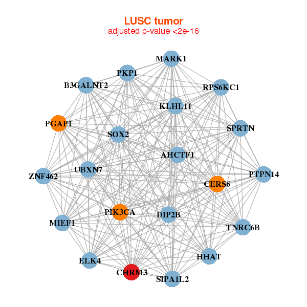 Cancer Cell Metabolism Database ~~ Bioinformatics and Systems Medicine ...