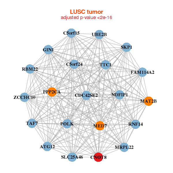 Cancer Cell Metabolism Database ~~ Bioinformatics and Systems Medicine ...