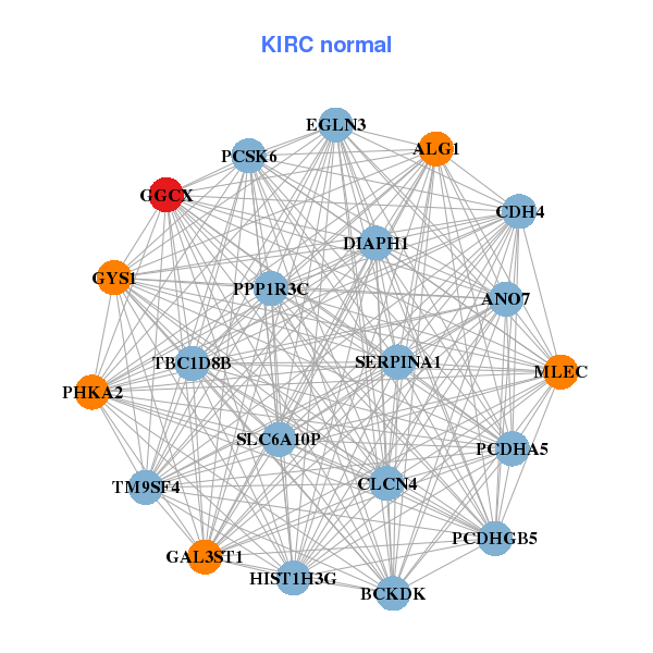 Cancer Cell Metabolism Database ~~ Bioinformatics and Systems Medicine ...