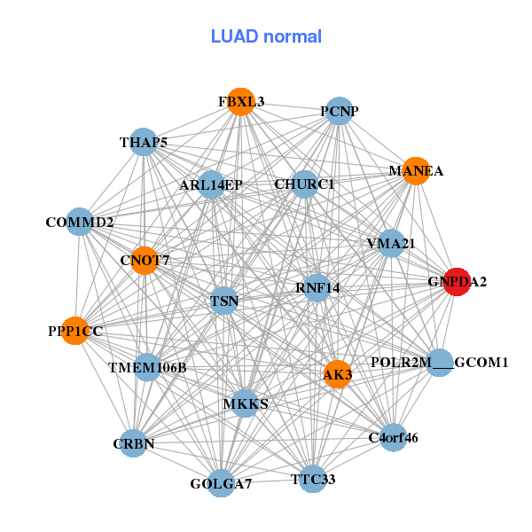 Cancer Cell Metabolism Database ~~ Bioinformatics and Systems Medicine ...