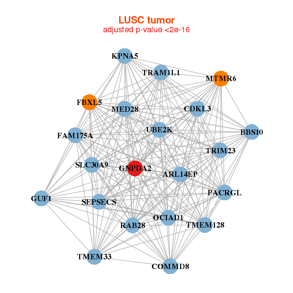 Cancer Cell Metabolism Database ~~ Bioinformatics and Systems Medicine ...