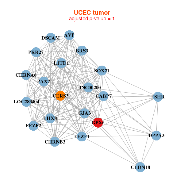 Cancer Cell Metabolism Database ~~ Bioinformatics and Systems Medicine ...