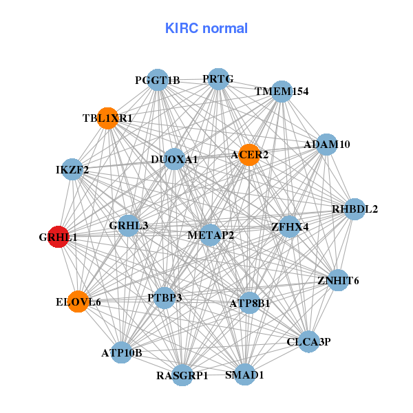 Cancer Cell Metabolism Database ~~ Bioinformatics and Systems Medicine ...