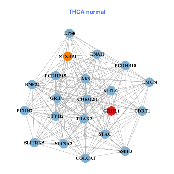 Cancer Cell Metabolism Database ~~ Bioinformatics and Systems Medicine ...