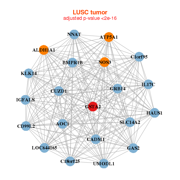 Cancer Cell Metabolism Database ~~ Bioinformatics and Systems Medicine ...