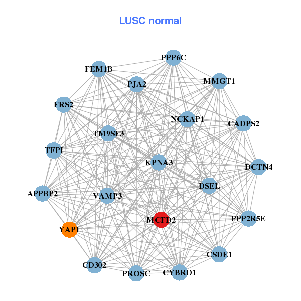 Cancer Cell Metabolism Database ~~ Bioinformatics and Systems Medicine ...