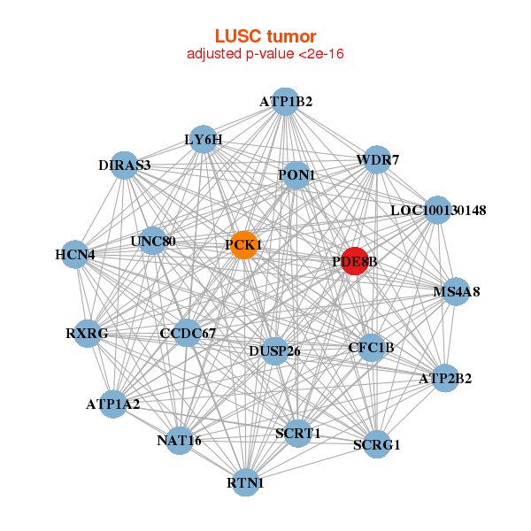 Cancer Cell Metabolism Database ~~ Bioinformatics and Systems Medicine ...