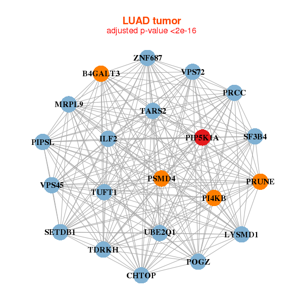 Cancer Cell Metabolism Database ~~ Bioinformatics and Systems Medicine ...
