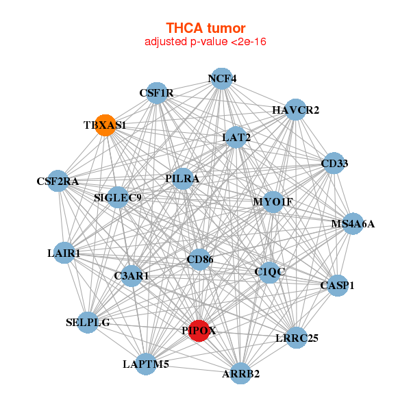 Cancer Cell Metabolism Database ~~ Bioinformatics and Systems Medicine ...