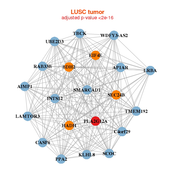 Cancer Cell Metabolism Database ~~ Bioinformatics and Systems Medicine ...