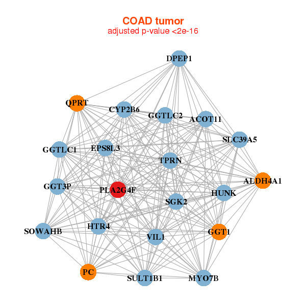 Cancer Cell Metabolism Database ~~ Bioinformatics and Systems Medicine ...