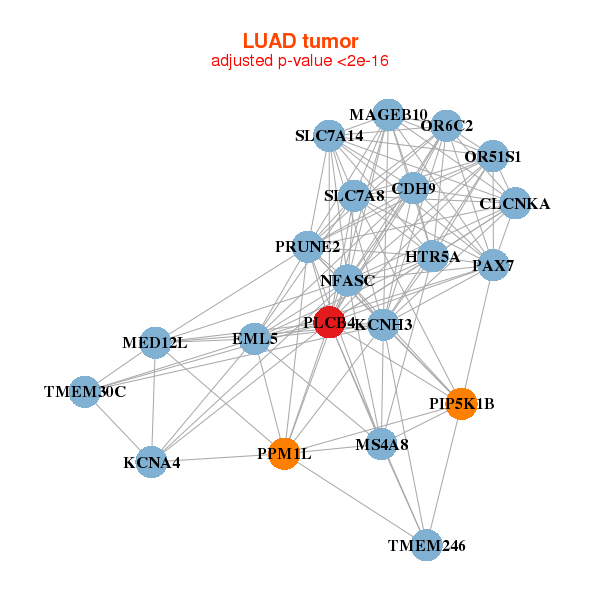Cancer Cell Metabolism Database ~~ Bioinformatics and Systems Medicine ...