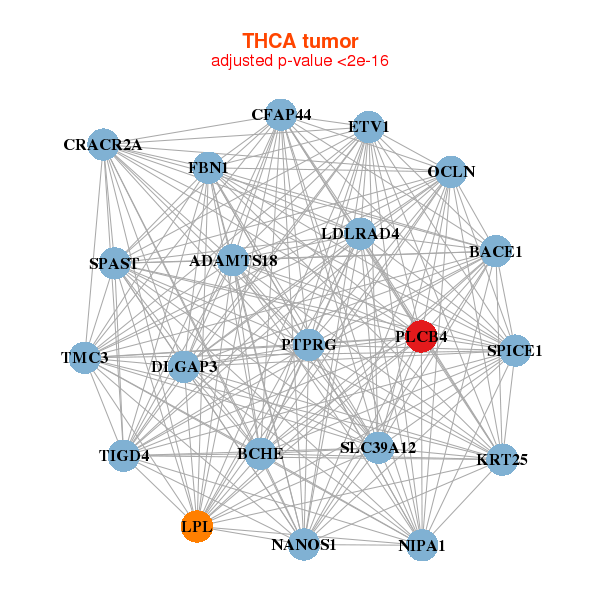 Cancer Cell Metabolism Database ~~ Bioinformatics and Systems Medicine ...