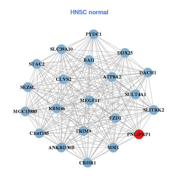 Cancer Cell Metabolism Database ~~ Bioinformatics and Systems Medicine ...