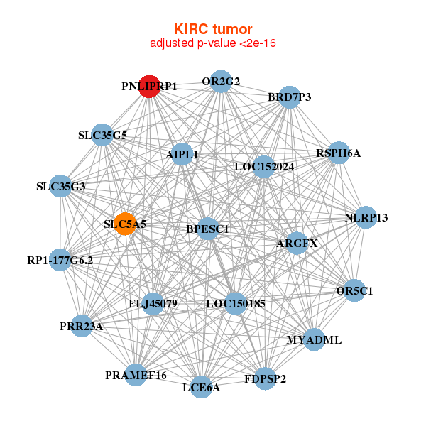 Cancer Cell Metabolism Database ~~ Bioinformatics and Systems Medicine ...