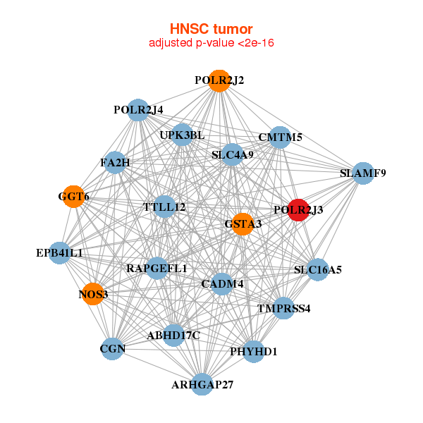 Cancer Cell Metabolism Database ~~ Bioinformatics and Systems Medicine ...