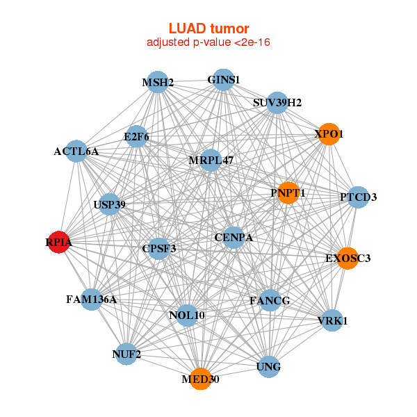 Cancer Cell Metabolism Database ~~ Bioinformatics and Systems Medicine ...