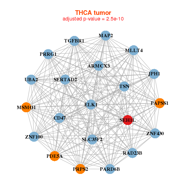 Cancer Cell Metabolism Database ~~ Bioinformatics and Systems Medicine ...