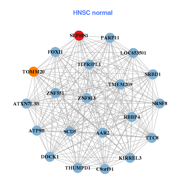Cancer Cell Metabolism Database ~~ Bioinformatics and Systems Medicine ...