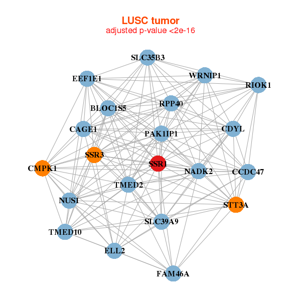 Cancer Cell Metabolism Database ~~ Bioinformatics and Systems Medicine ...