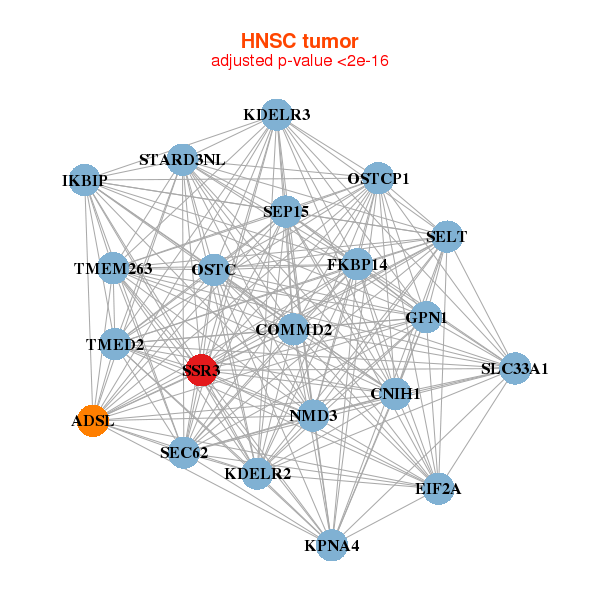 Cancer Cell Metabolism Database ~~ Bioinformatics and Systems Medicine ...