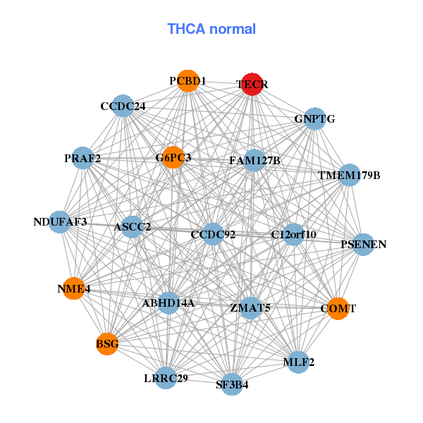 Cancer Cell Metabolism Database ~~ Bioinformatics and Systems Medicine ...